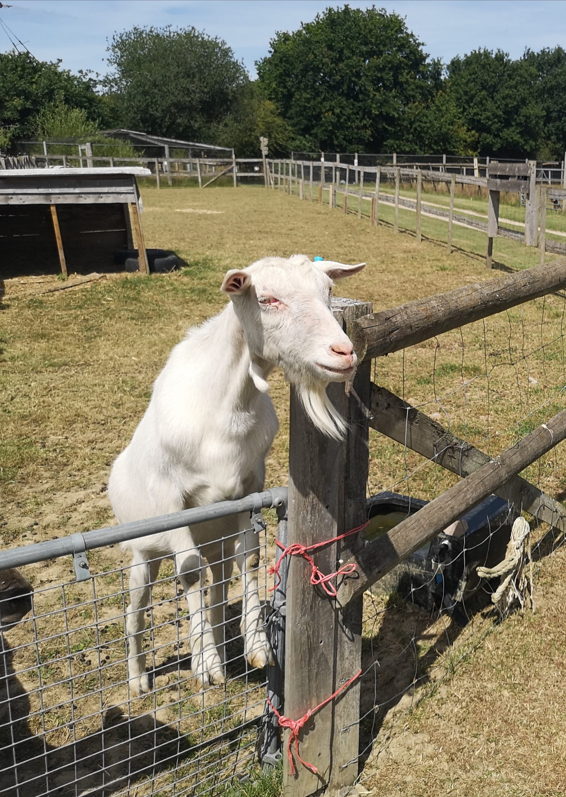A Day out at the Farm.