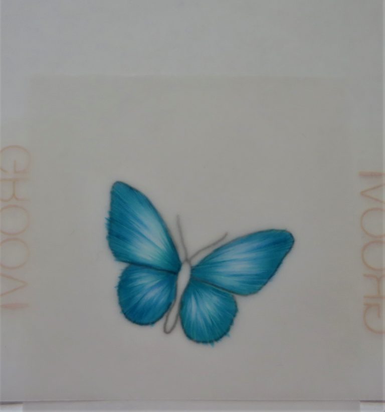 Clarity’s Blog Tutorial: How To Paint With Perga Colours