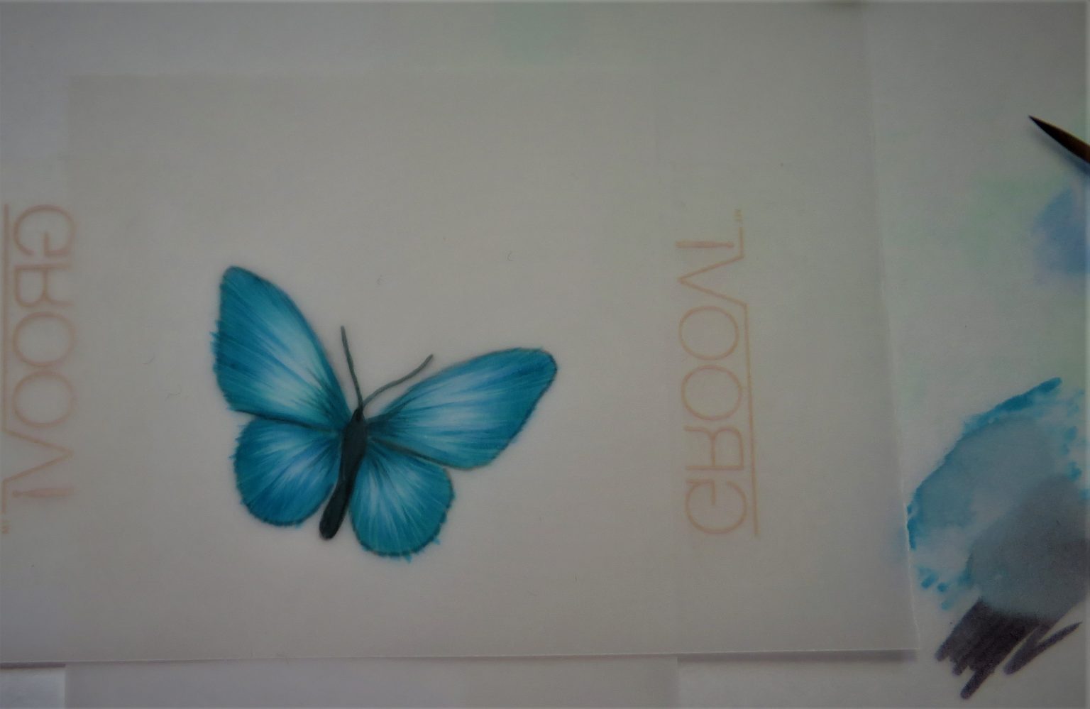 Clarity’s Blog Tutorial: How To Paint With Perga Colours