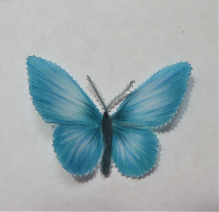 Clarity’s Blog Tutorial: How To Paint With Perga Colours