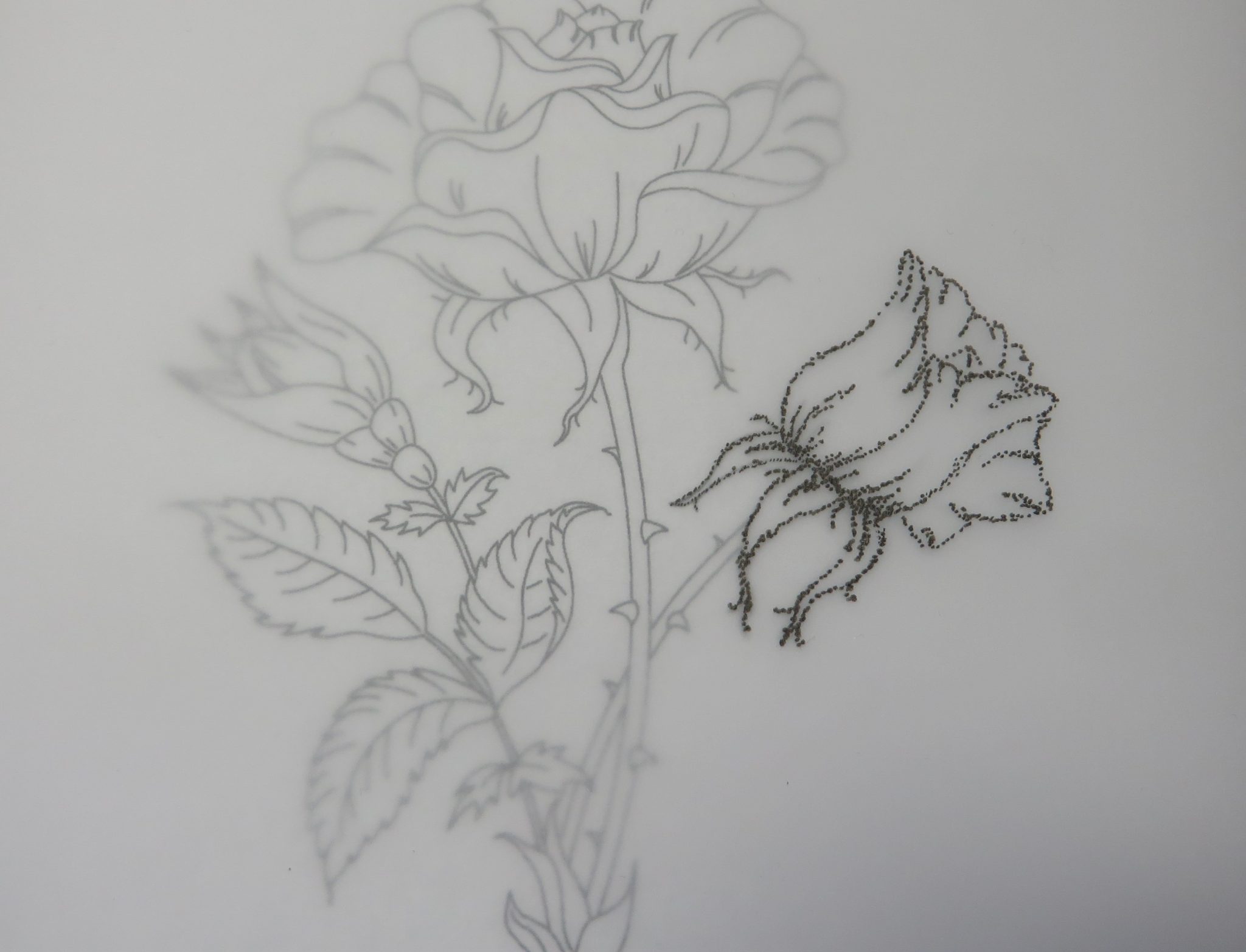 Clarity’s Blog Tutorial: How To – Pointillism Rose Using the Frosted ...