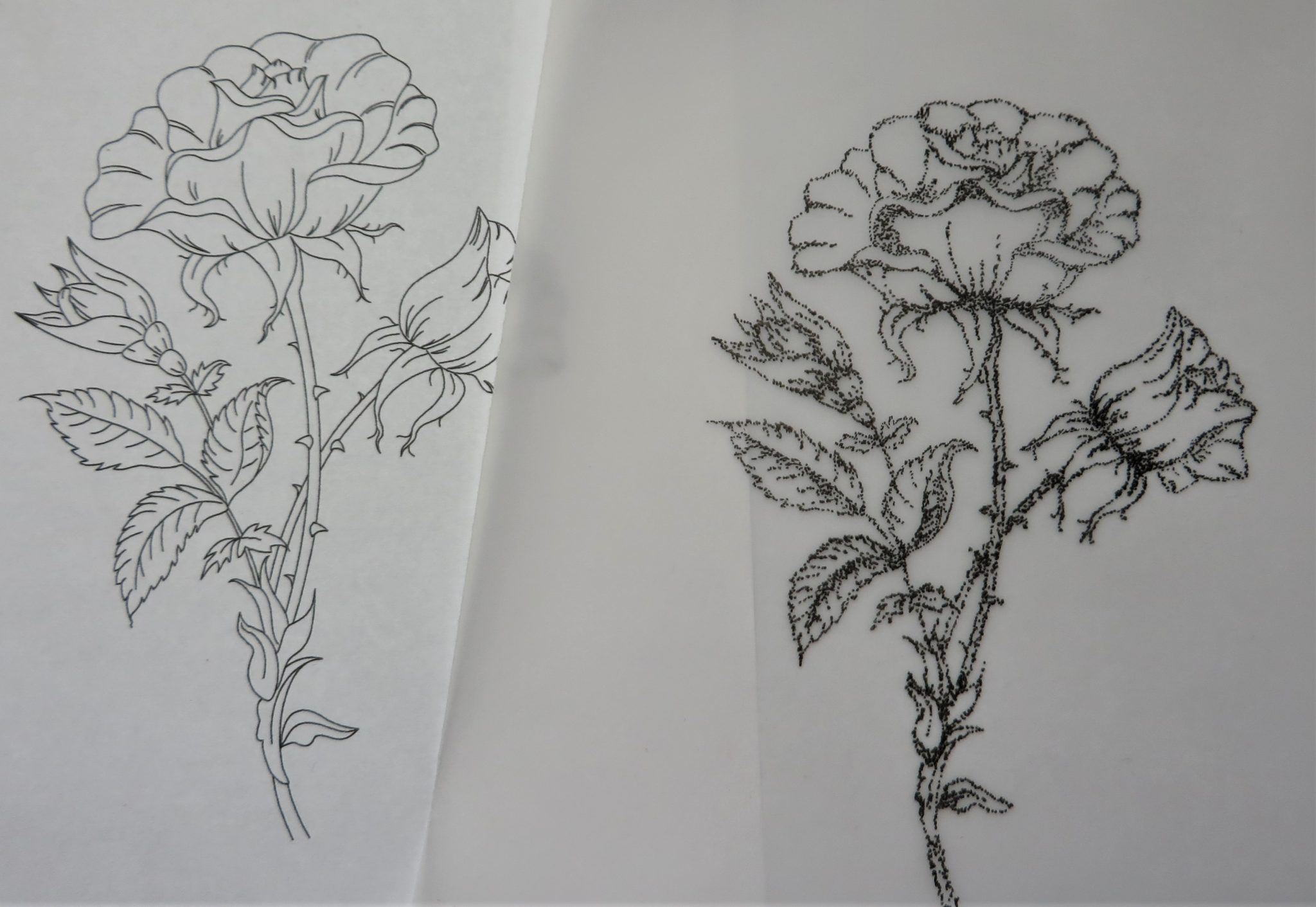 Clarity’s Blog Tutorial: How To – Pointillism Rose Using the Frosted ...