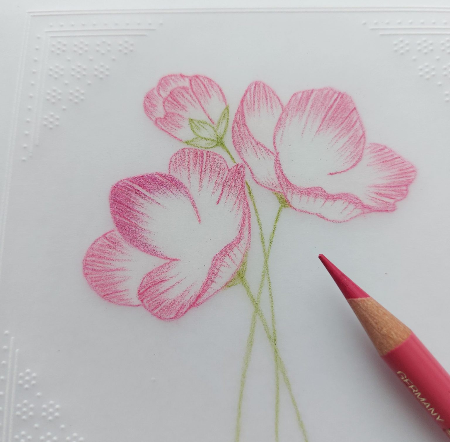 Clarity’s Matters Blog Tutorial: How To Colour Using Line Art