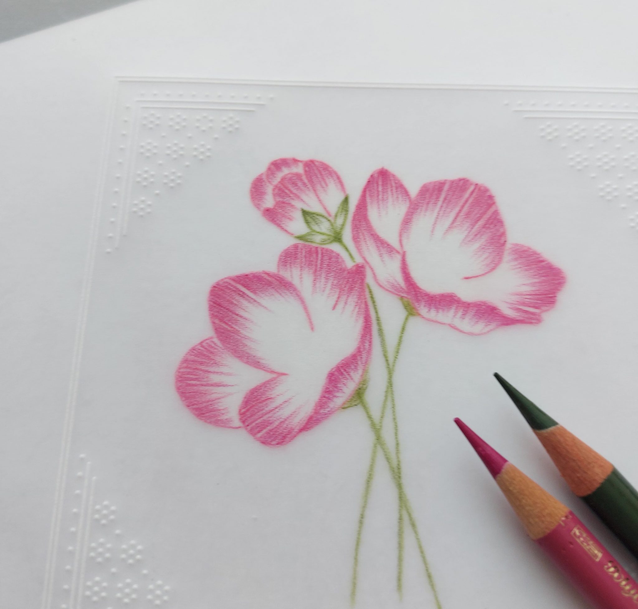 Clarity’s Matters Blog Tutorial: How To Colour Using Line Art