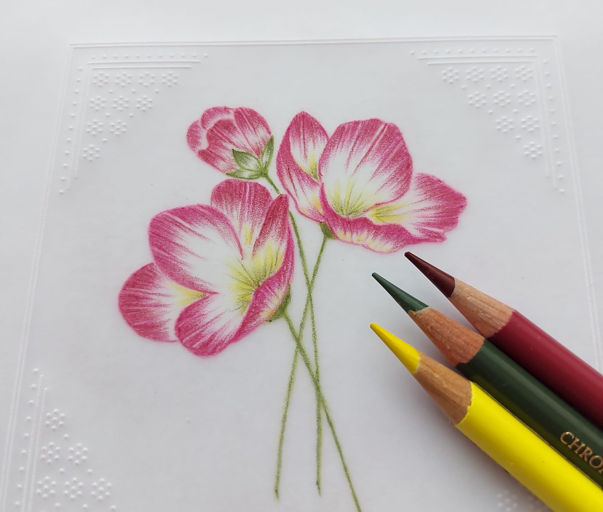 Clarity’s Matters Blog Tutorial: How To Colour Using Line Art