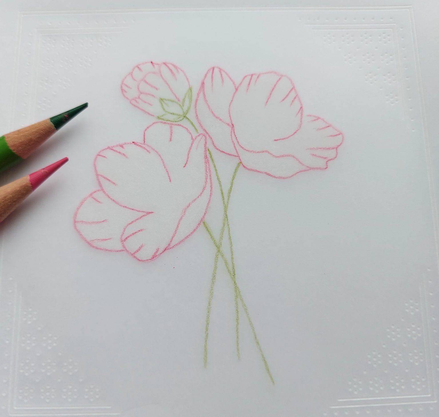 Clarity’s Matters Blog Tutorial: How To Colour Using Line Art