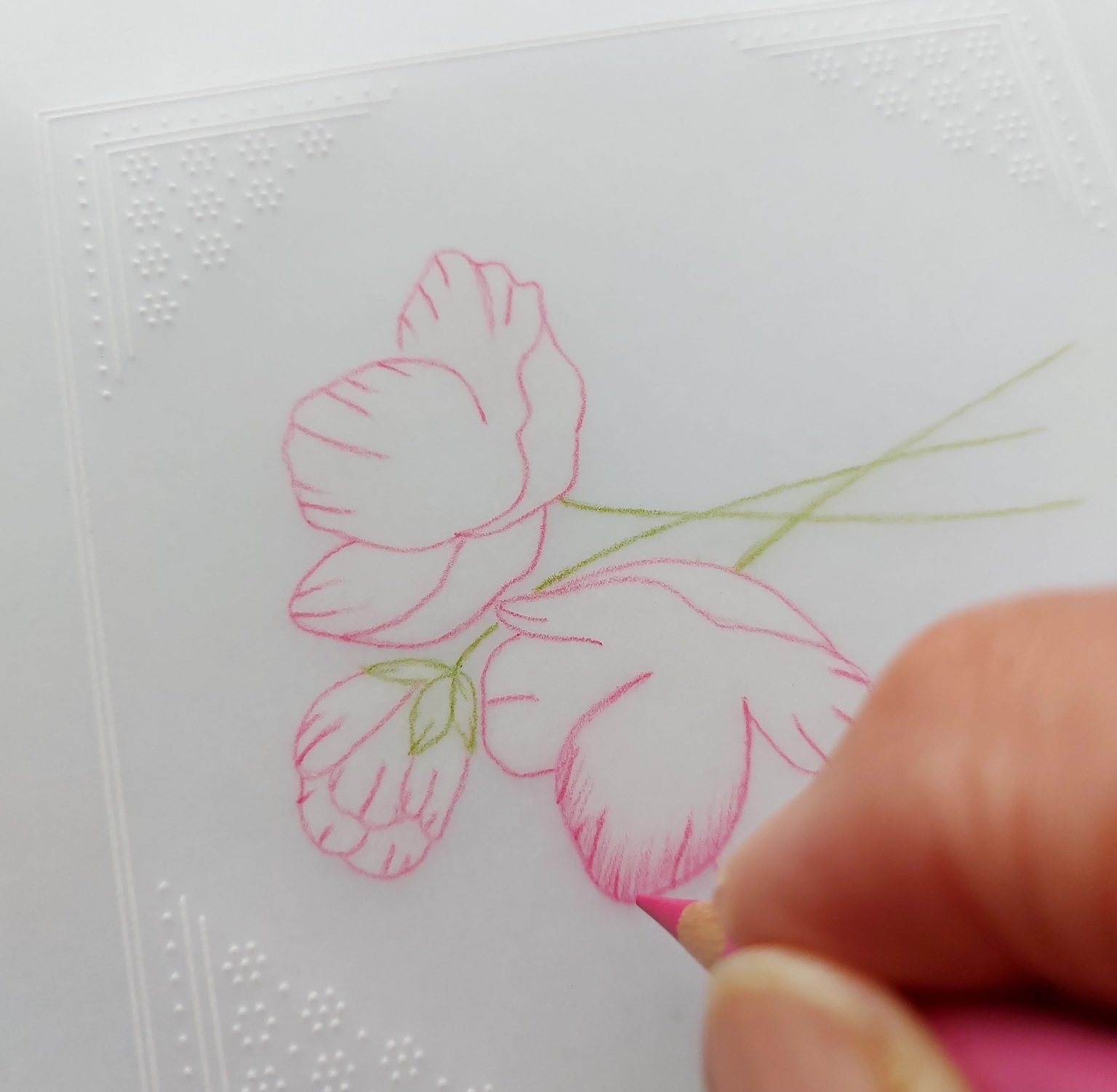 Clarity’s Matters Blog Tutorial: How To Colour Using Line Art