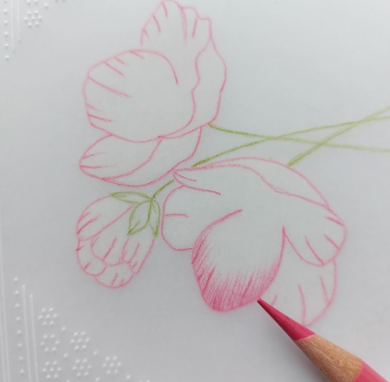 Clarity’s Matters Blog Tutorial: How To Colour Using Line Art