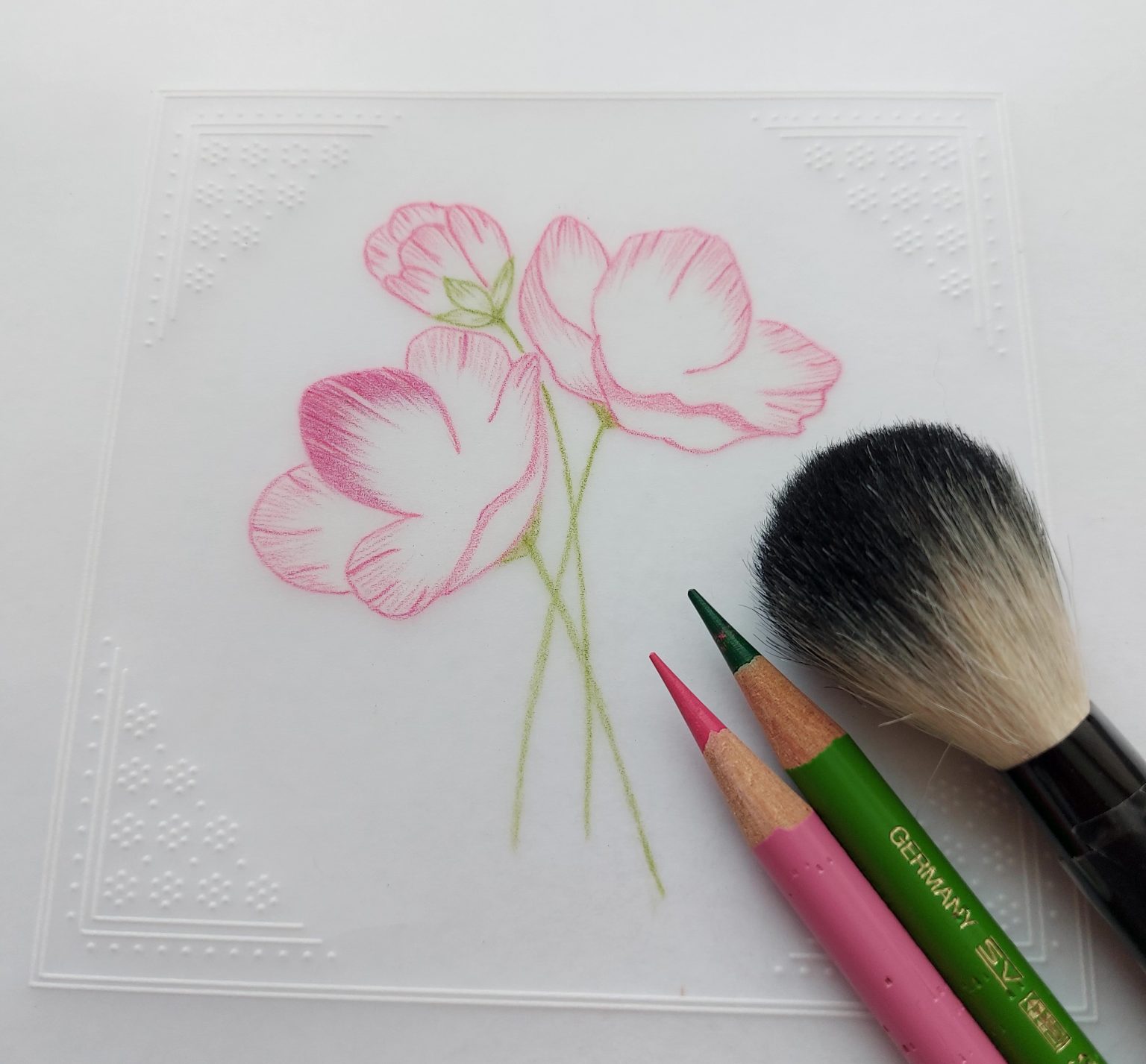 Clarity’s Matters Blog Tutorial: How To Colour Using Line Art