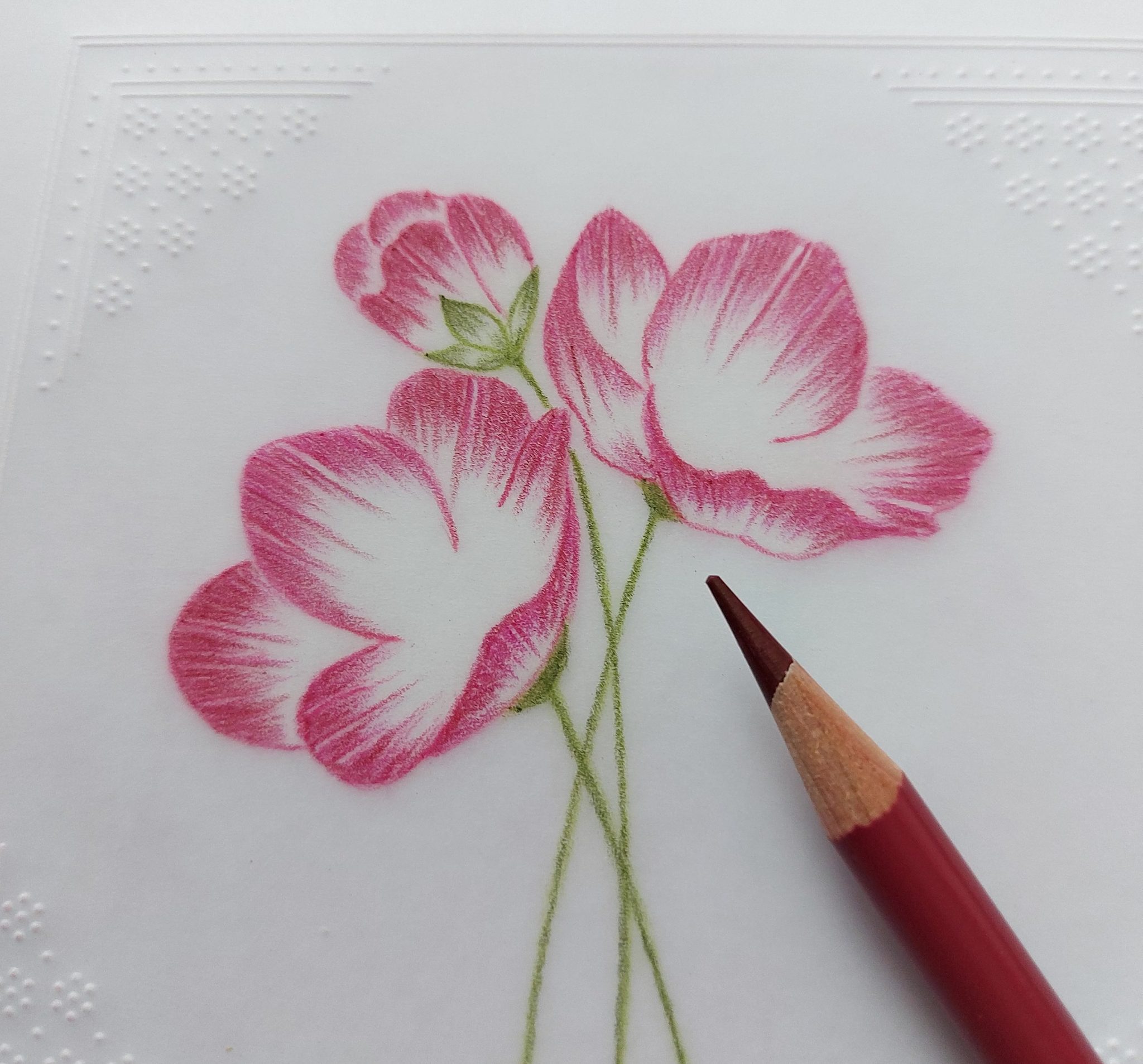 Clarity’s Matters Blog Tutorial: How To Colour Using Line Art