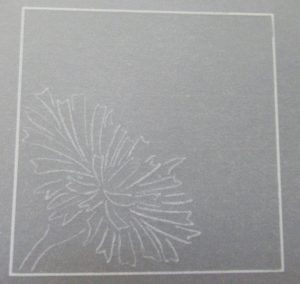 Clarity Matters Blog Tutorial: How To Colour with Perga Liner Pencils