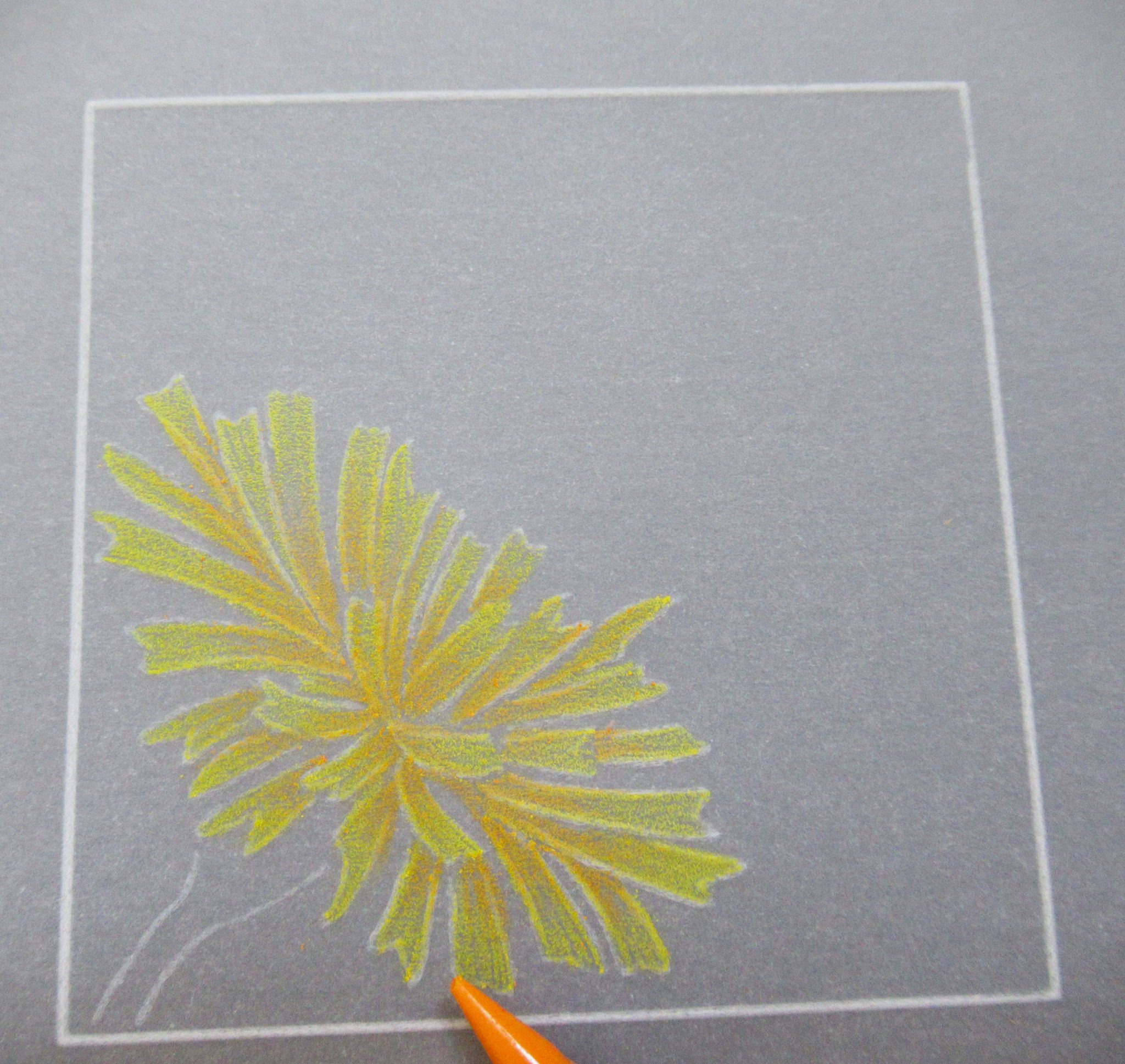 Clarity Matters Blog Tutorial: How To Colour with Perga Liner Pencils