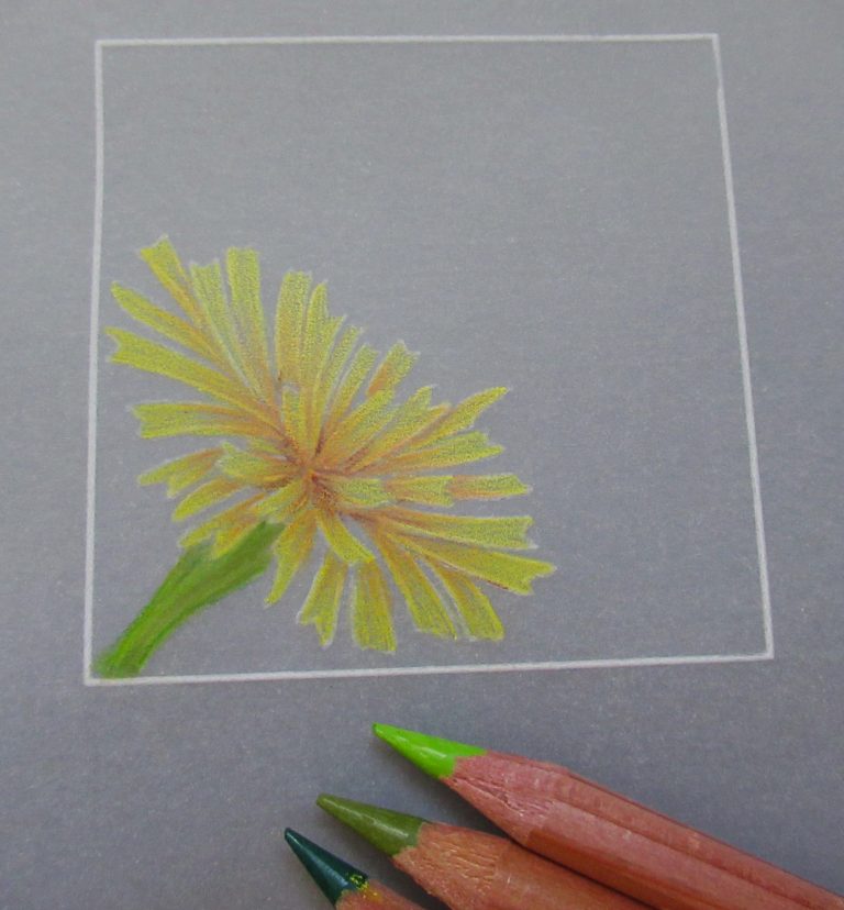 Clarity Matters Blog Tutorial: How To Colour with Perga Liner Pencils