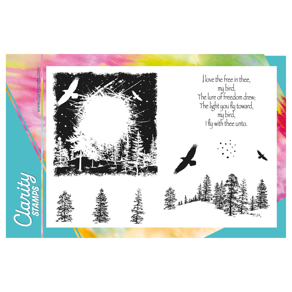 The final hours to party!