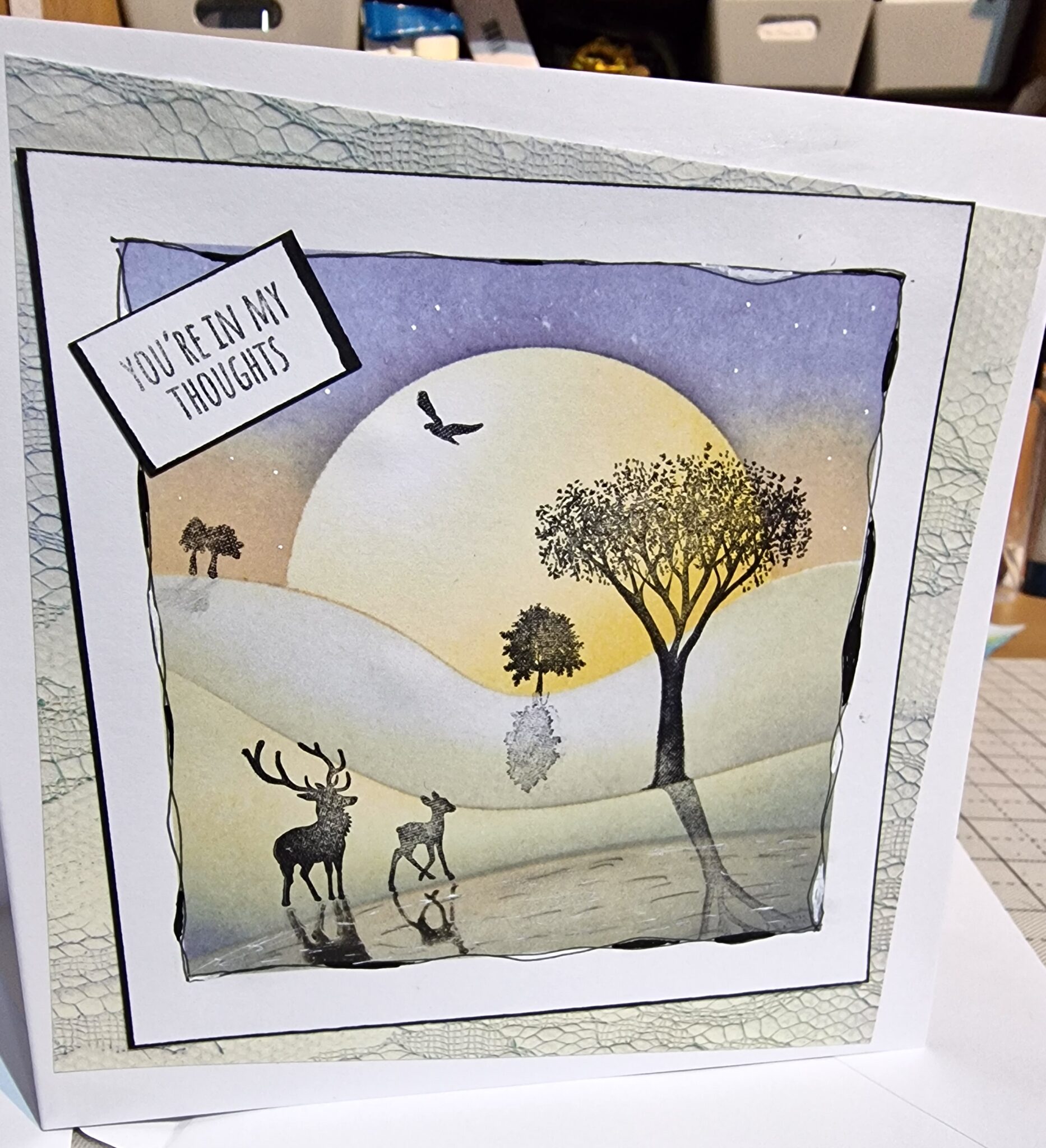 Saturday Share time!